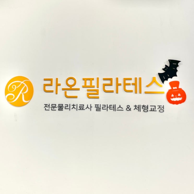 백석 필라테스 라온 필라테스 백석 전문 물리치료사가 있는 일산 필라테스 시설 3d 체형평가 후기 네이버 블로그