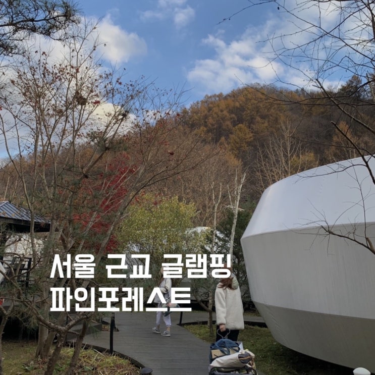 서울근교 글램핑 가평 파인포레스트 장단점 후기 네이버 블로그