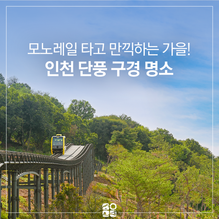 인천 단풍 구경 명소 ㅣ강화 교동도 화개정원과 화개산 모노레일에서 즐기는 가을 강화도 가볼만한곳 추천 네이버 블로그
