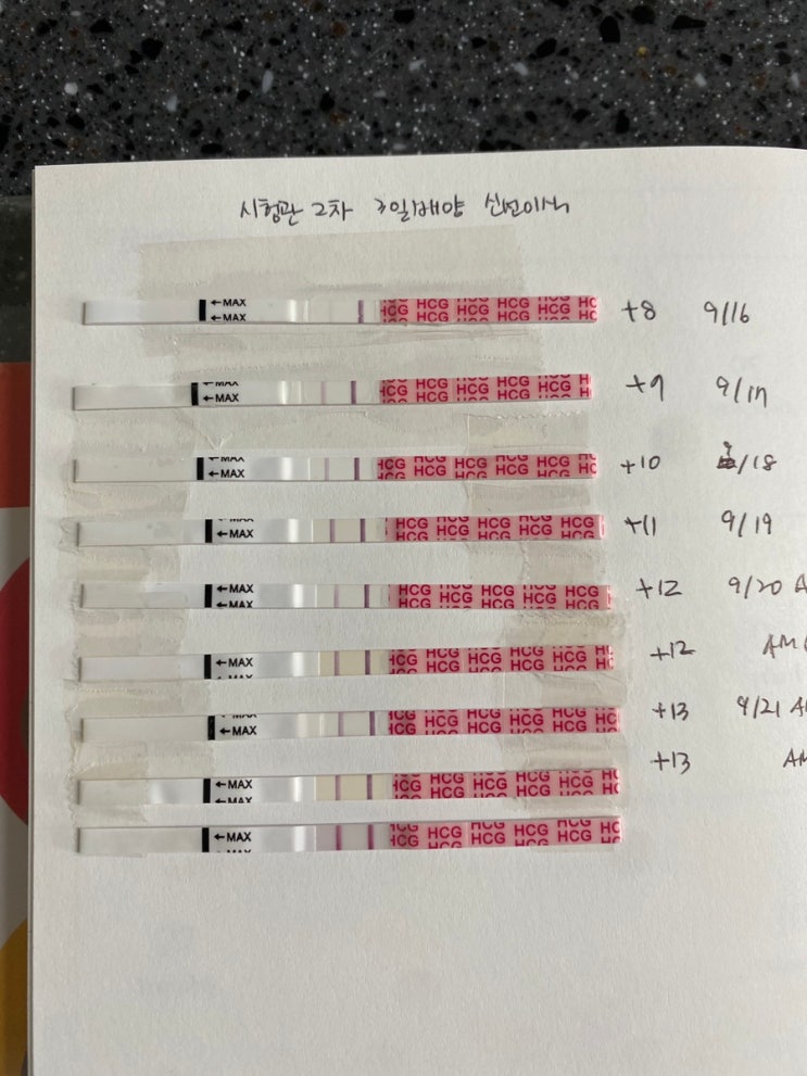일상난임 시험관 2차 장기요법 성공 3일배양 신선이식 임테기 변화 네이버 블로그