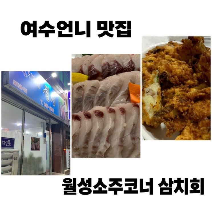 여수언니 맛집 월성소주코너 입에서 녹는 삼치회 네이버 블로그