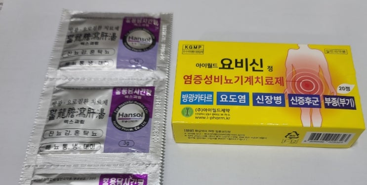 약국에서 살 수 있는 방광염요로감염 동시복용 약 조합 And 주의사항 And 기전 And 생활습관 And 진통제 용담사간탕 요비신
