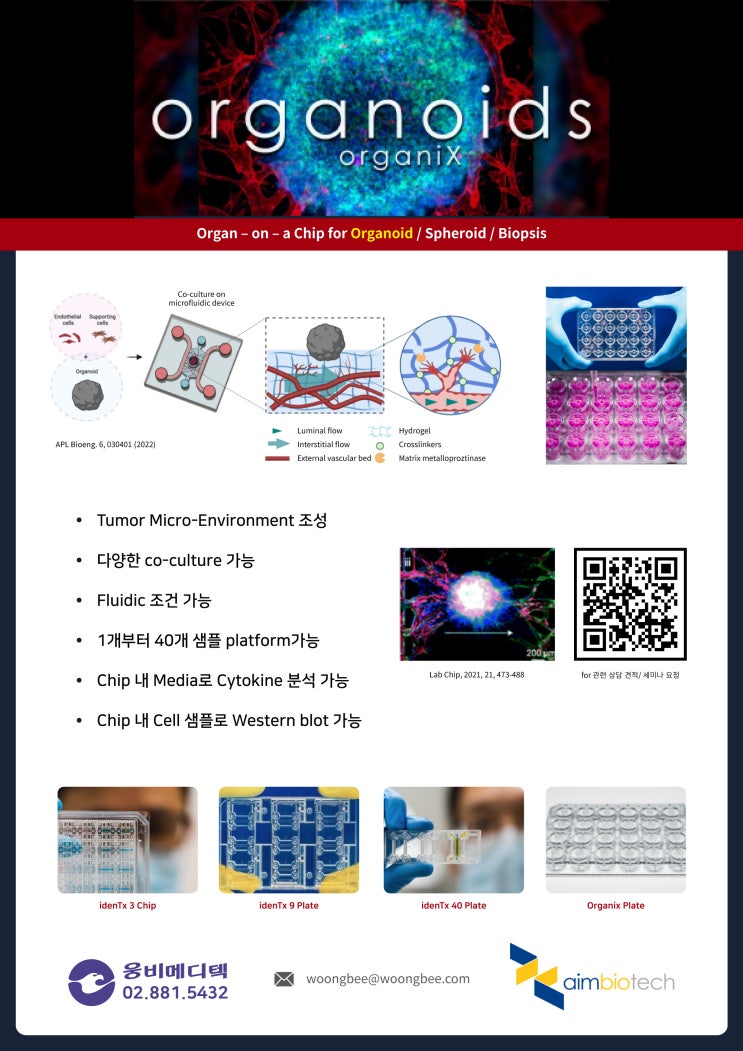 Organoid를 활용한 chip 모델 : 네이버 블로그