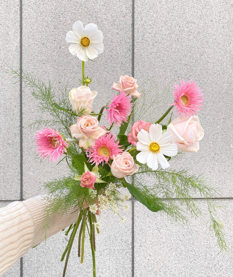 핑크꽃다발 실거베라 거베라꽃다발 코스모스 코스모스꽃다발 네이버 블로그