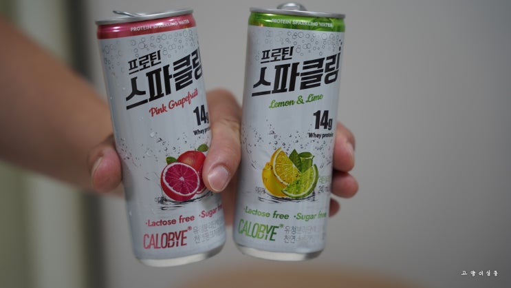 단백질음료 칼로바이 프로틴 스파클링 최애 다이어트음료 네이버 블로그