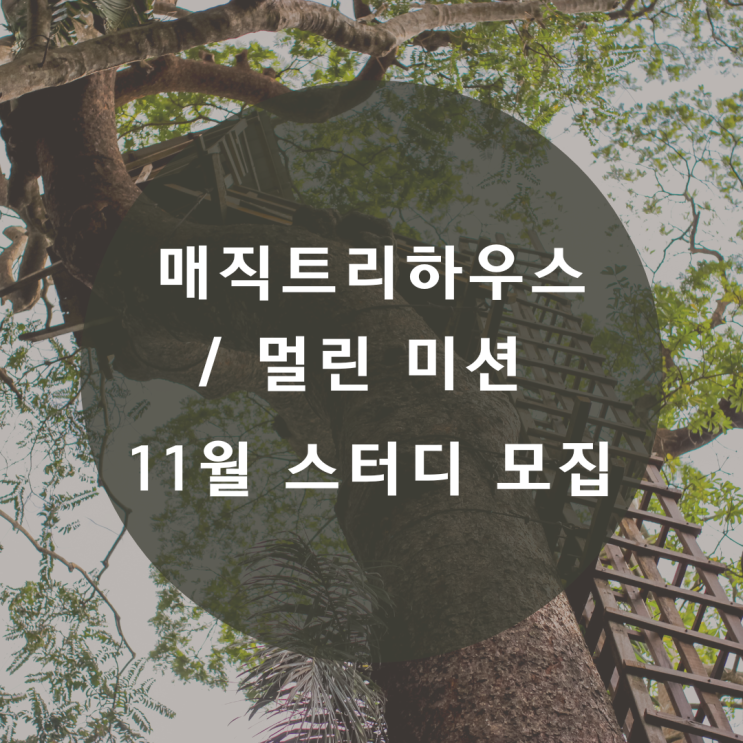 마감 매직트리하우스 멀린 미션 11월 스터디 모집합니다 네이버 블로그