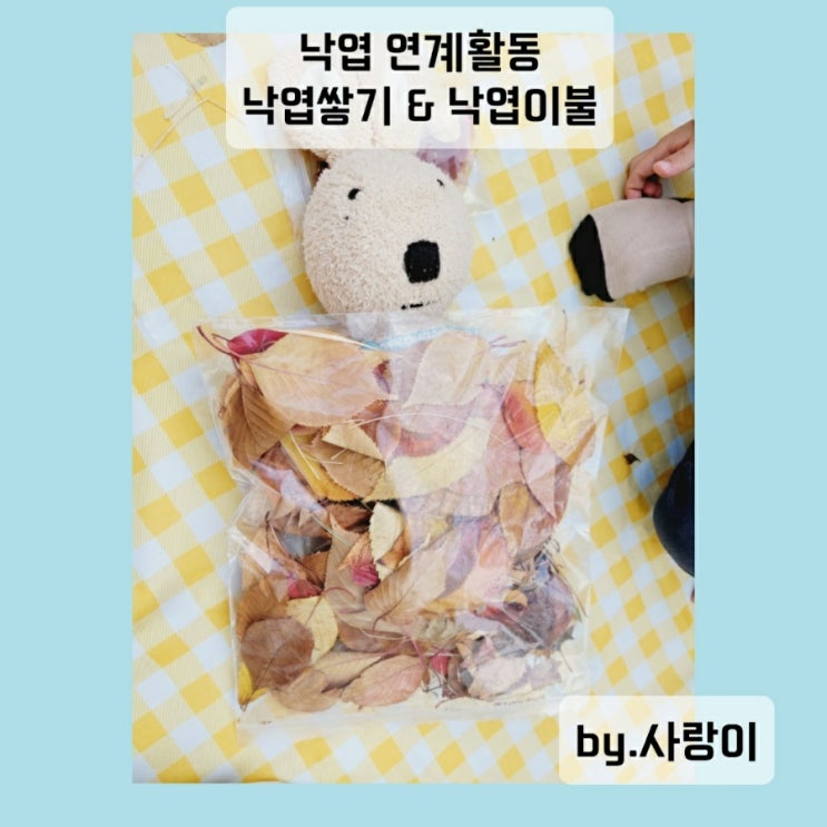 호반아이사랑♡ 만1세발달과정발달특성발달수준 3세놀이 3세발달과정 낙엽연계활동 쌓기낙엽을쌓아요 역할낙엽이불을덮어요 바깥야외놀이