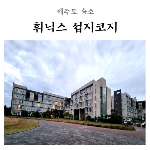 제주 휘닉스 섭지코지 레드동 로얄 스위트 제주도 숙소 비추천 후기 네이버 블로그