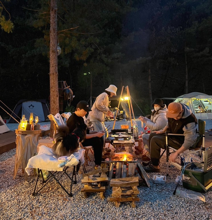 포천 산정호수 돌고래캠핑장 아이와 함께 애견가능 단풍보러 가기 좋은 곳 네이버 블로그