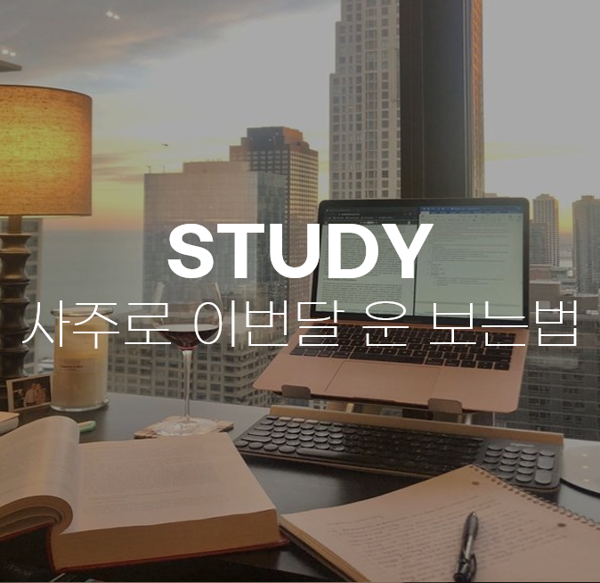[셀프 사주] 월운 보는 꿀팁 : 네이버 블로그