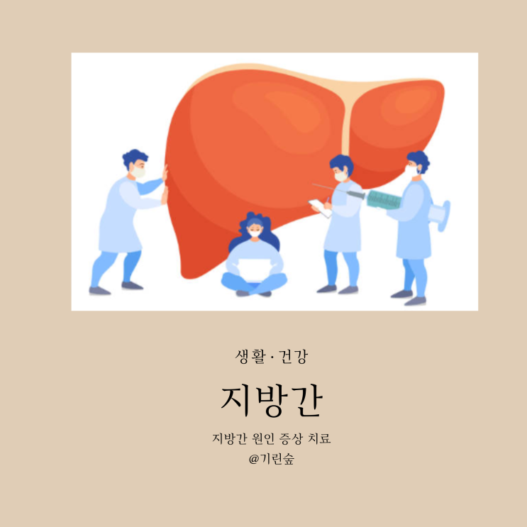 지방간 원인 증상 치료 지방간수치 검사 초기증상 간수치 간기능 혈액검사 Ast Alt 정상수치 네이버 블로그