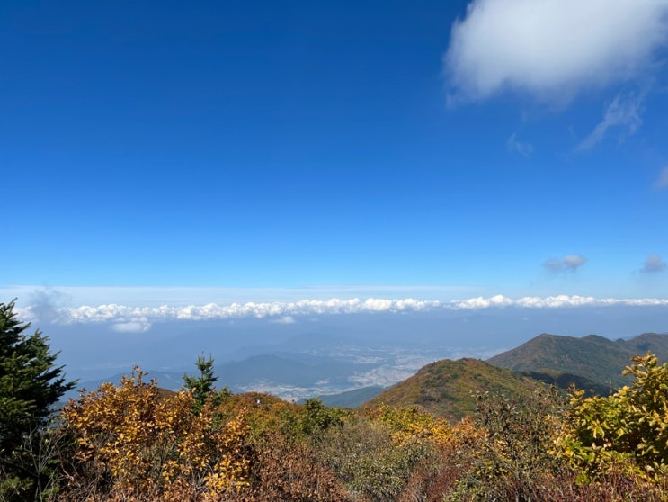 [지리산 서북능선] 정령치~만복대~성삼재 억새와 단풍이 가득한 등산코스 : 네이버 블로그