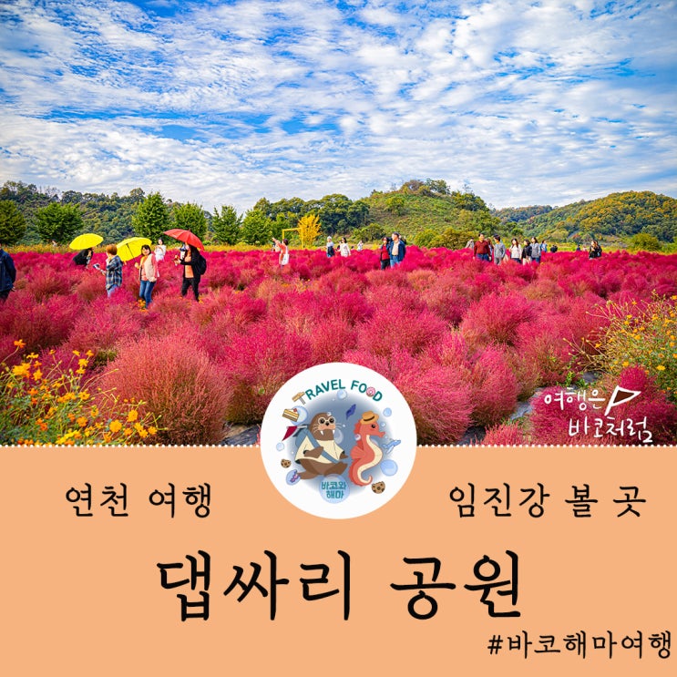 연천 여행 임진강 댑싸리 공원 우리나라 최전방에서 만나는 붉은색 댑싸리 꽃밭 데이트 네이버 블로그