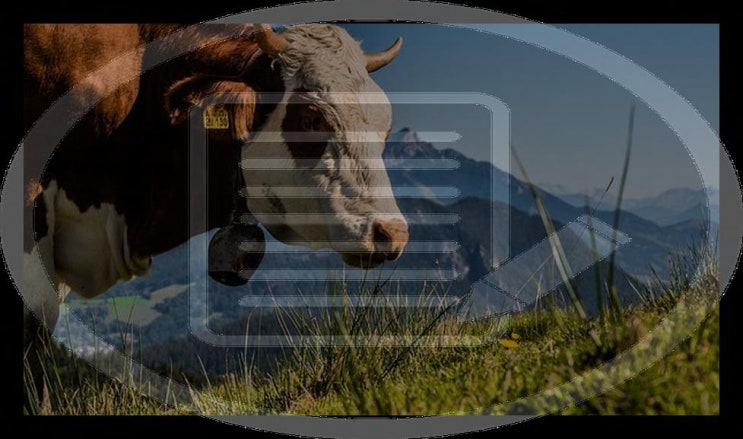 문화체육관광부, 한국어학당, 에듀테크, 교육정보기술, 빅테크, 정보기술그룹 : 네이버 블로그