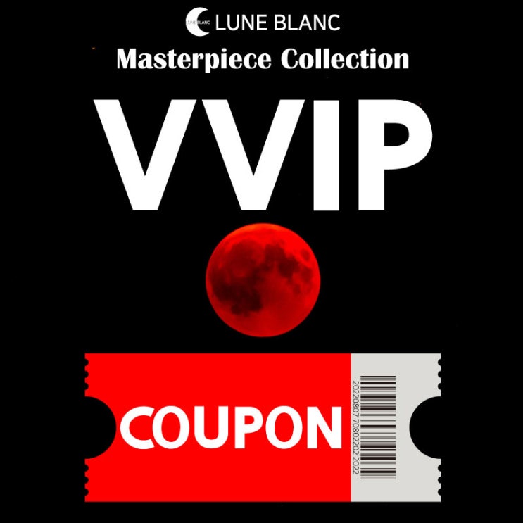 VVIP Event : 네이버 블로그