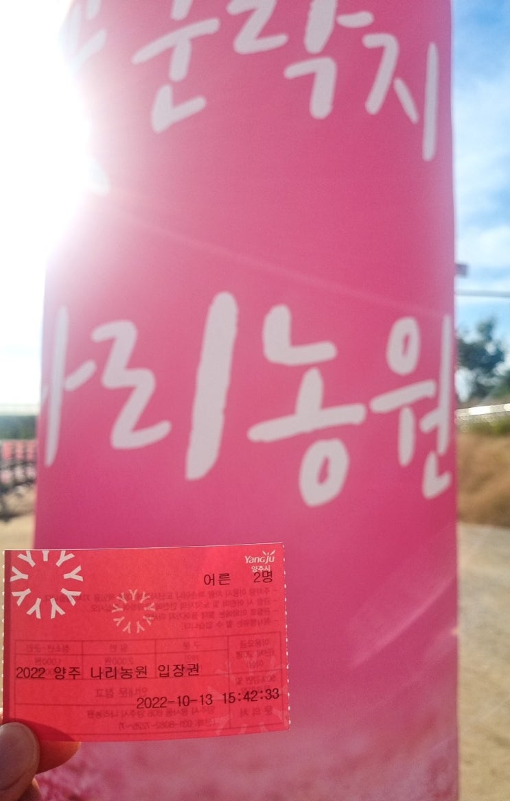 202210월둘째주 양주나리공원feat핑크뮬리강경숯불바베큐 네이버 블로그