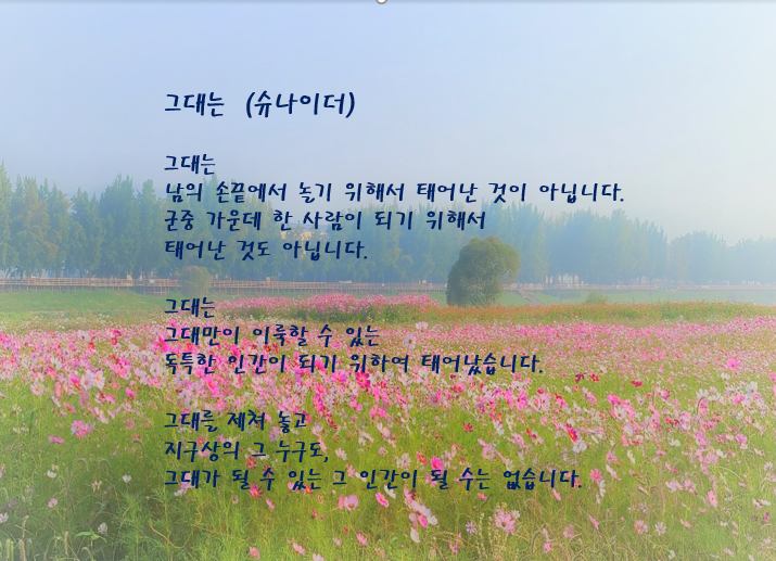 살리는 남자 생명존중 자살예방교육 전문강사 자격과정 설명회 무료특강 청강 후기 국민강사 교육 협회 강사유연옥 한국자살예방 상담