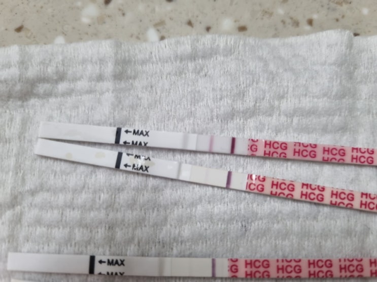 임신기록유산후 재임신 임신테스트 확인후 피검사 수치오름 애기집 확인 네이버 블로그