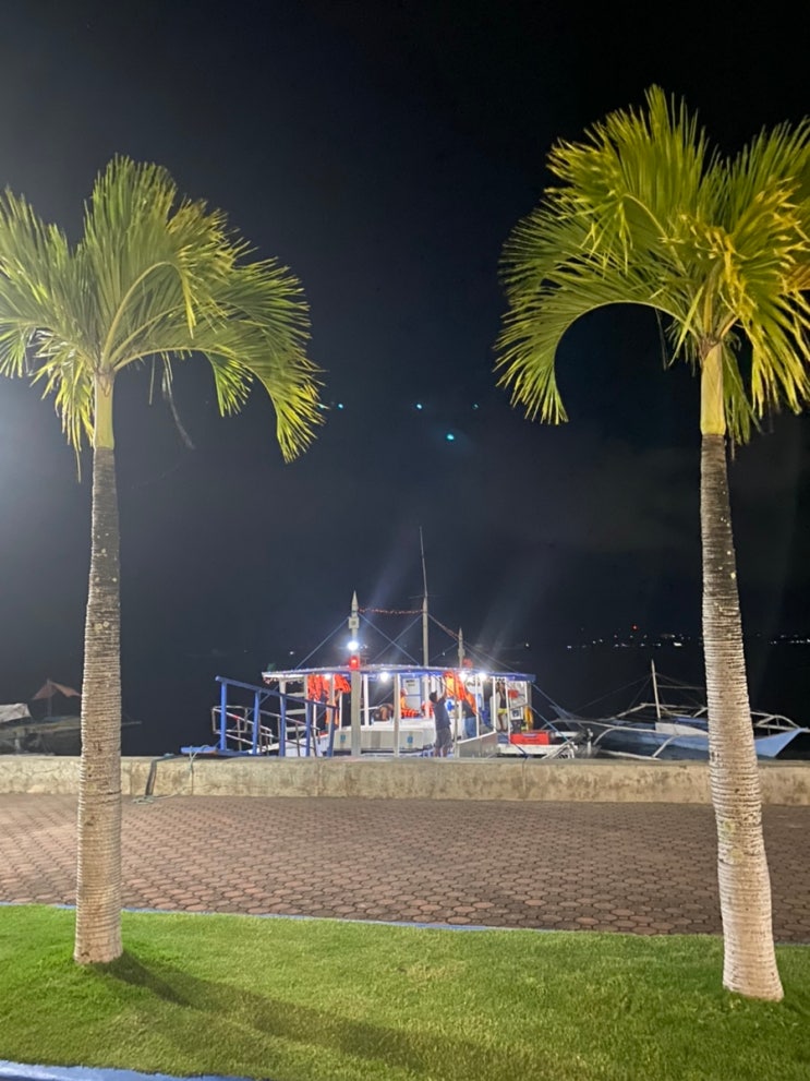 필리핀 팔라완 자유여행 반딧불투어(firefly tour at puertoprincesa)2022년 업그레이드 레이저빨 ...