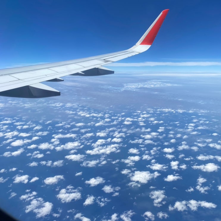 나트랑 여행 인천공항 비엣젯 탑승 후기 베트남 유심 환전 네이버 블로그