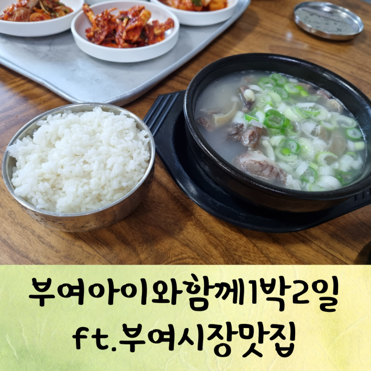 부여1박2일 롯데리조트 아쿠아가든 백제문화단지 부여국립박물관 정림사지 부여시장맛집 네이버 블로그