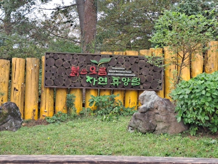 제주 붉은오름 휴양림에서 붉은오름 정상도 오르고 쓰레기 없는 제로웨이스트 생활했어요 네이버 블로그