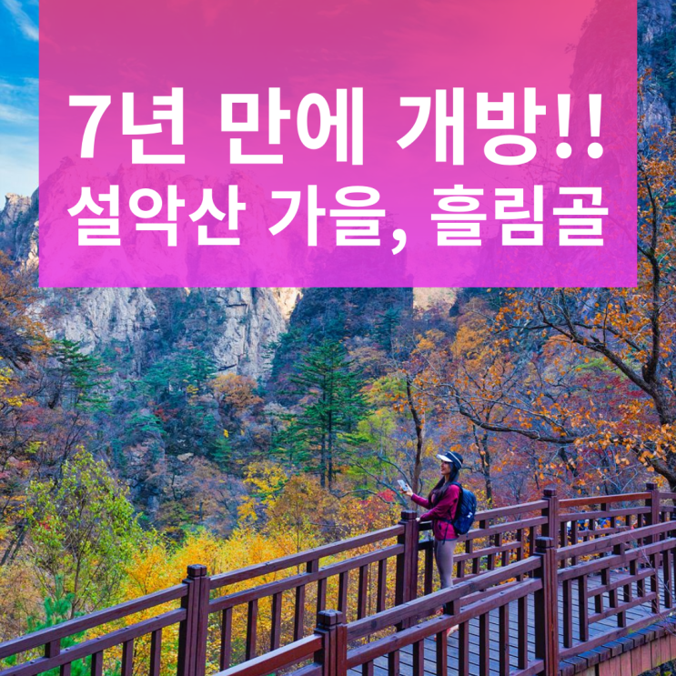 설악산 단풍 등산코스 추천 흘림골 네이버 블로그