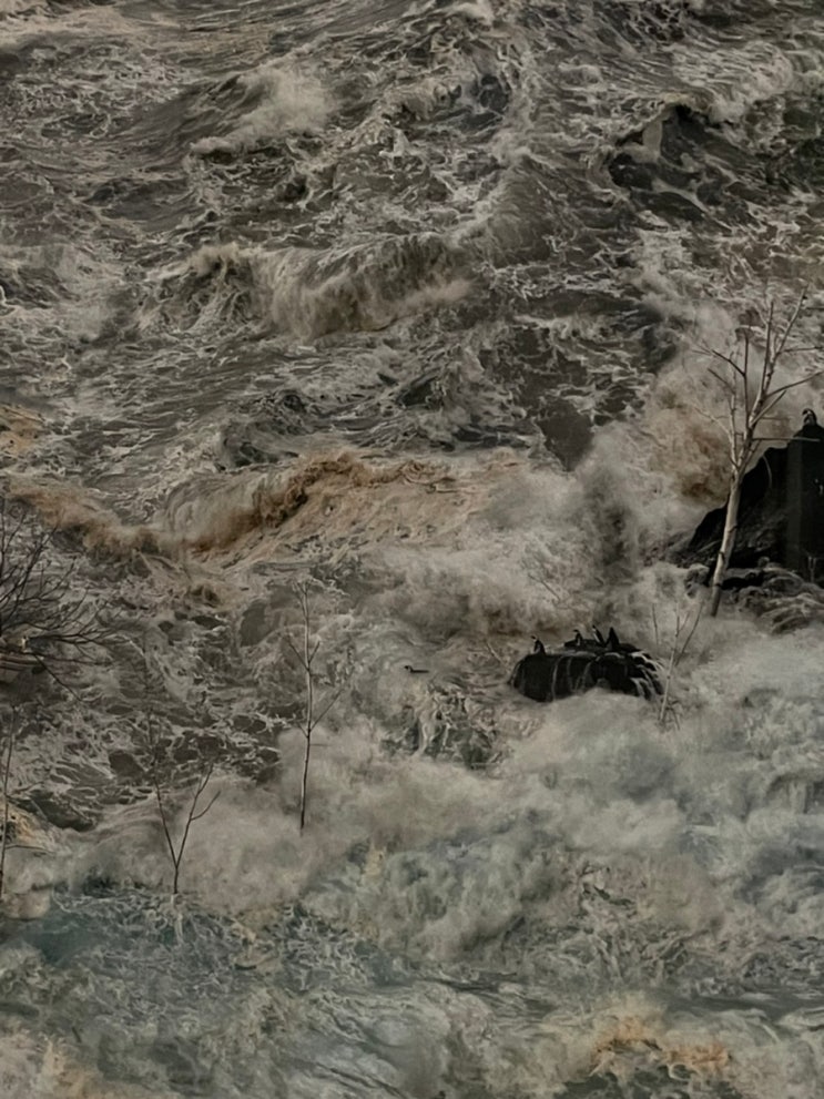 Aguamenti : 네이버 블로그