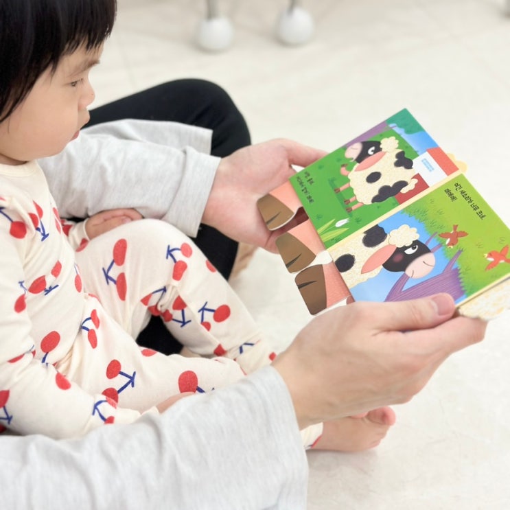돌아기선물 아람북스 코코아 세계창작 밤잠 자기 전에도 읽어요 네이버 블로그