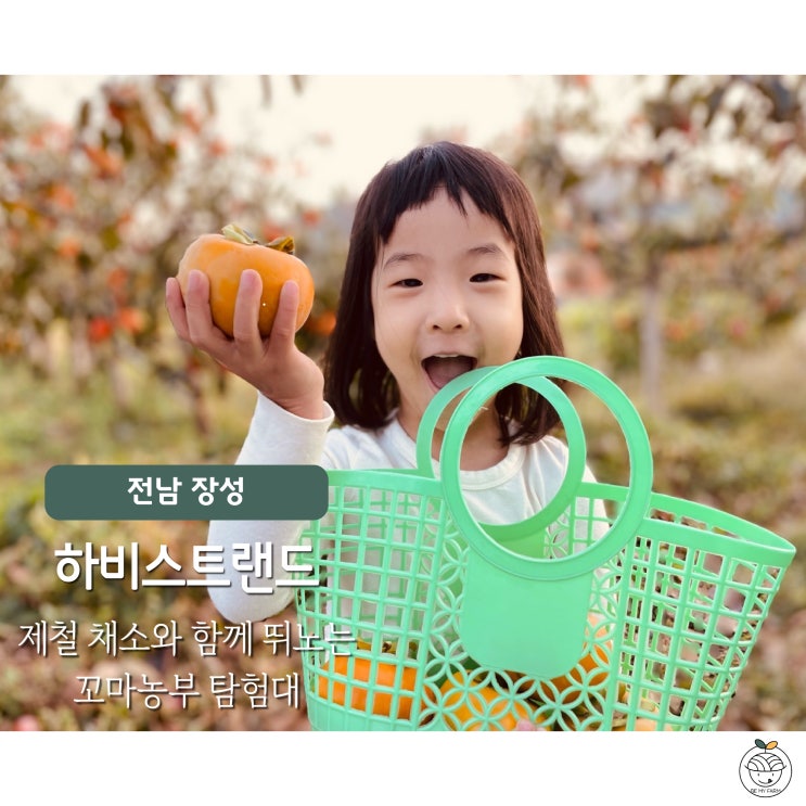 전남 장성 하비스트랜드 솔직후기광주 근교 장성 아이랑 갈만한 곳 농촌 체험 여행 네이버 블로그