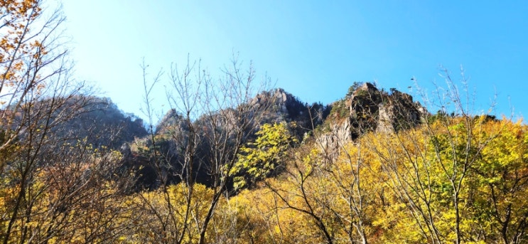 설악산 흘림골 예약 및 주차 산행 코스 소개 네이버 블로그