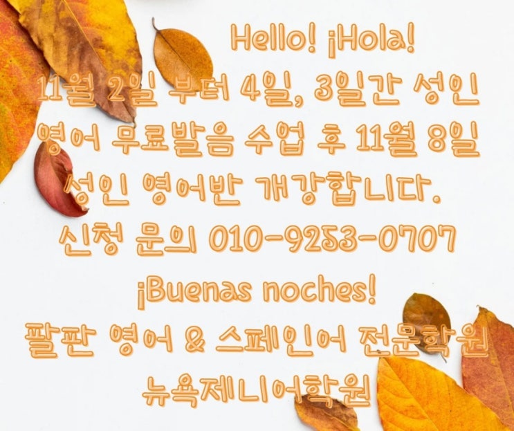 팔판 영어 And스페인어 전문학원 뉴욕제니어학원 11월 2일 ~ 4일 3일간 성인영어 무료발음 수업 소식 및 10월 29일 스페인어