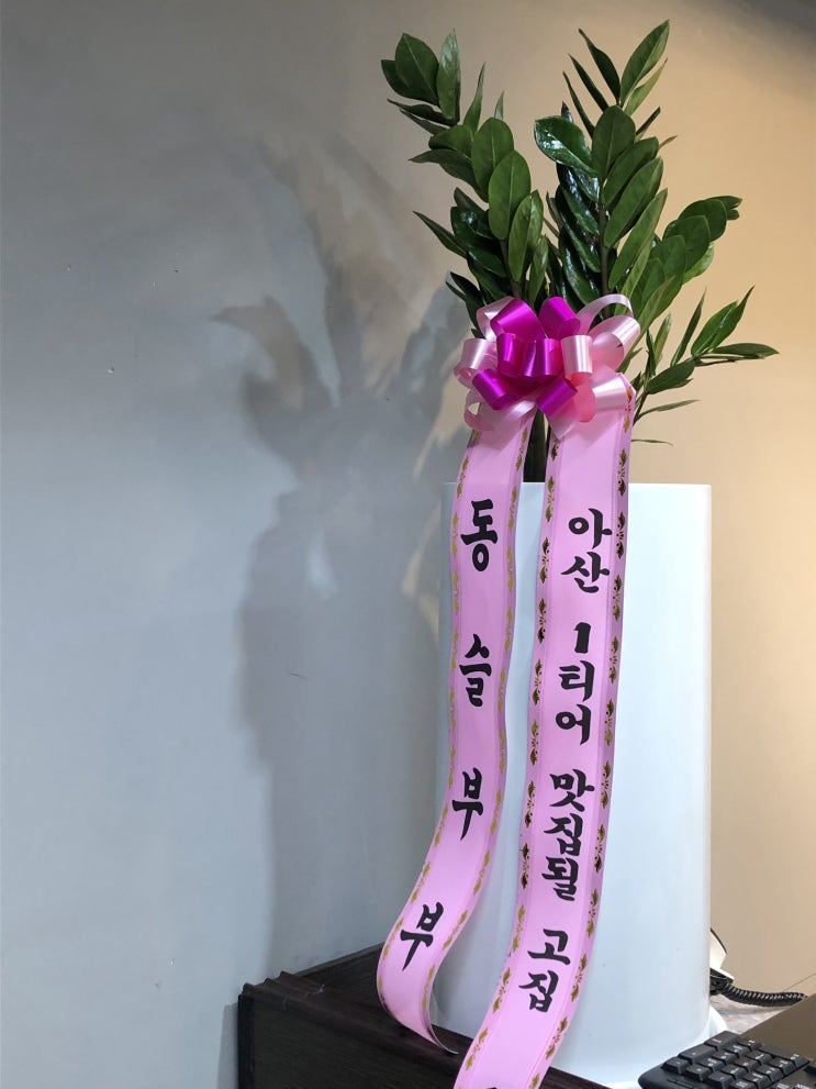 개업화분 개업식 축하 화분 금전수 부암동가든 에서 선물배달주문 했어요 네이버 블로그