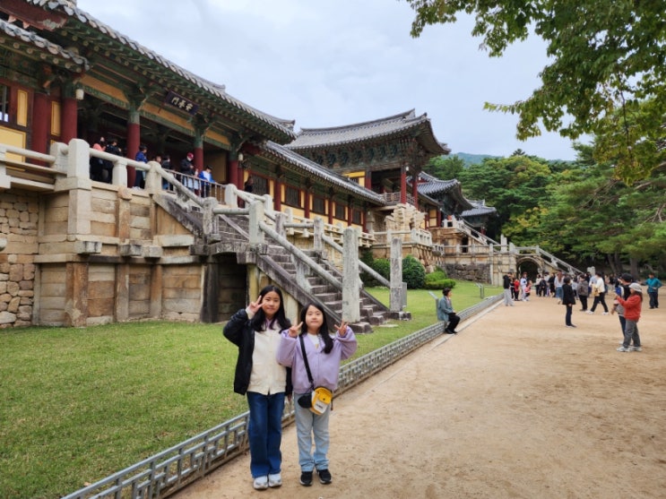 2022년 경주 여행 경주 세계문화유산투어석굴암 불국사 분황사 무열왕릉 대릉원로 보낸 하루feat 저녁은