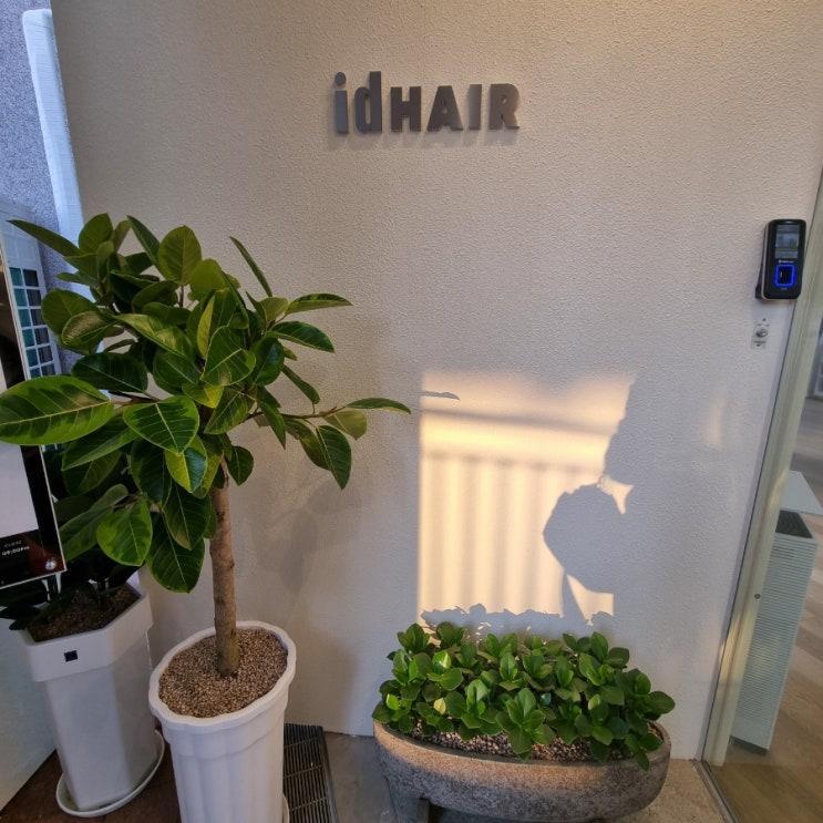 세종 소담동 미용실 아이디헤어 하나디렉터 예약 후 방문 : 네이버 블로그