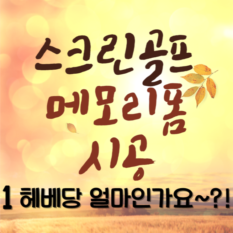 스크린골프 메모리폼 시공 1헤베당 얼마인가요메모리폼 시공사례 네이버 블로그