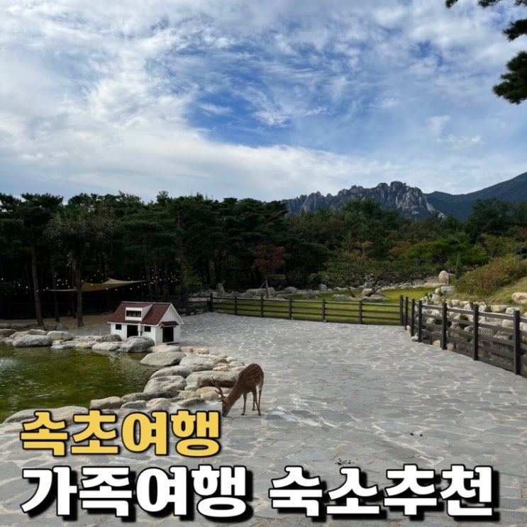 켄싱턴리조트 설악밸리 로얄스위트 베른 속초 가족여행 숙소로 추천 네이버 블로그