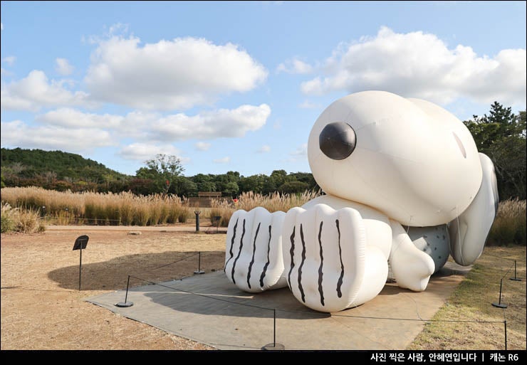 가을 제주 아이와 가볼만한곳 송당리 제주도 스누피가든 할인 네이버 블로그