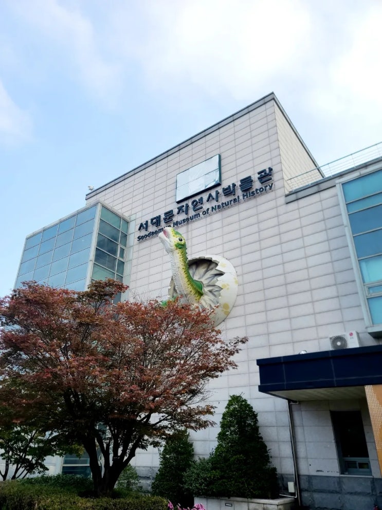 서울 아이와 가볼 만한 곳 서대문 자연사 박물관 방문 주차 안내 공룡화석 네이버 블로그