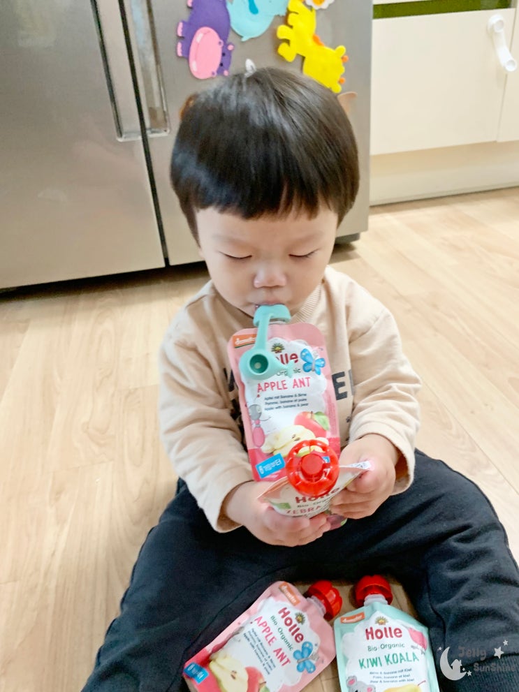 6개월아기간식 아기퓨레는 유기농 이유식 홀레로 선택하세요 네이버 블로그