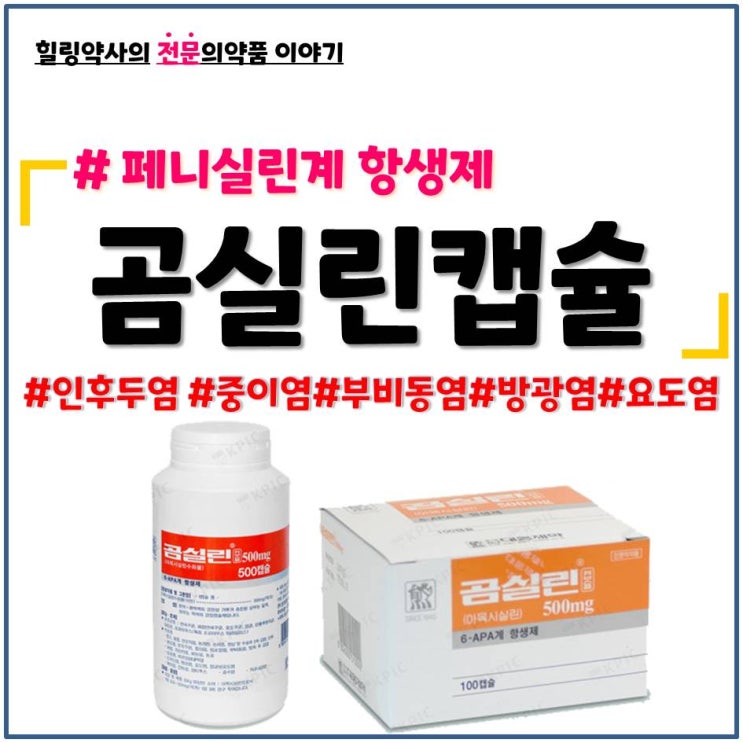 곰실린캡슐 페니실린계항생제종기편도염인후두염중이염부비동염 복용법금기 및 주의사항부작용이상반응 네이버 블로그