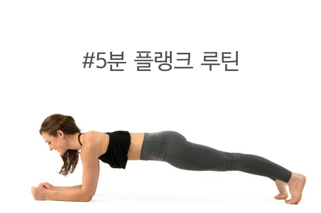 플랭크 자세 종류 8가지 뱃살빼는법 복근운동 매일 네이버 블로그