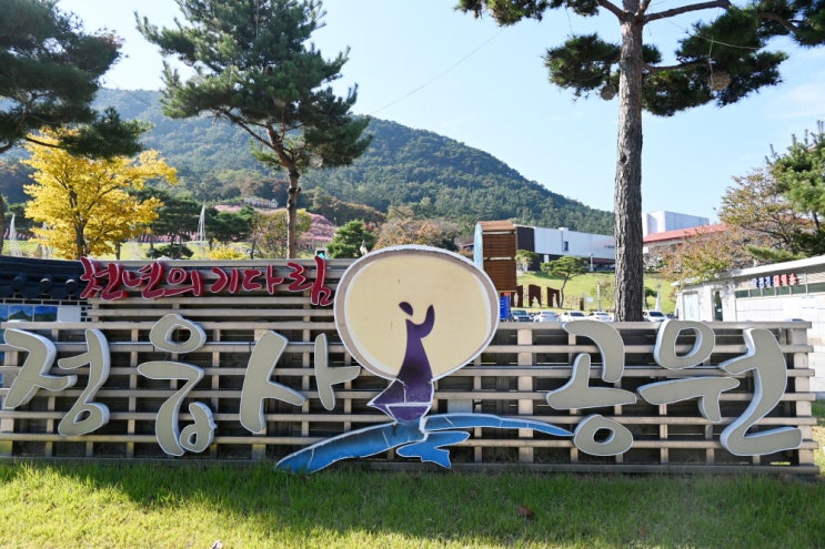 전북 정읍 핑크뮬리 아양사랑숲 숲놀이터 유아숲체험장 정읍사문화공원 네이버 블로그