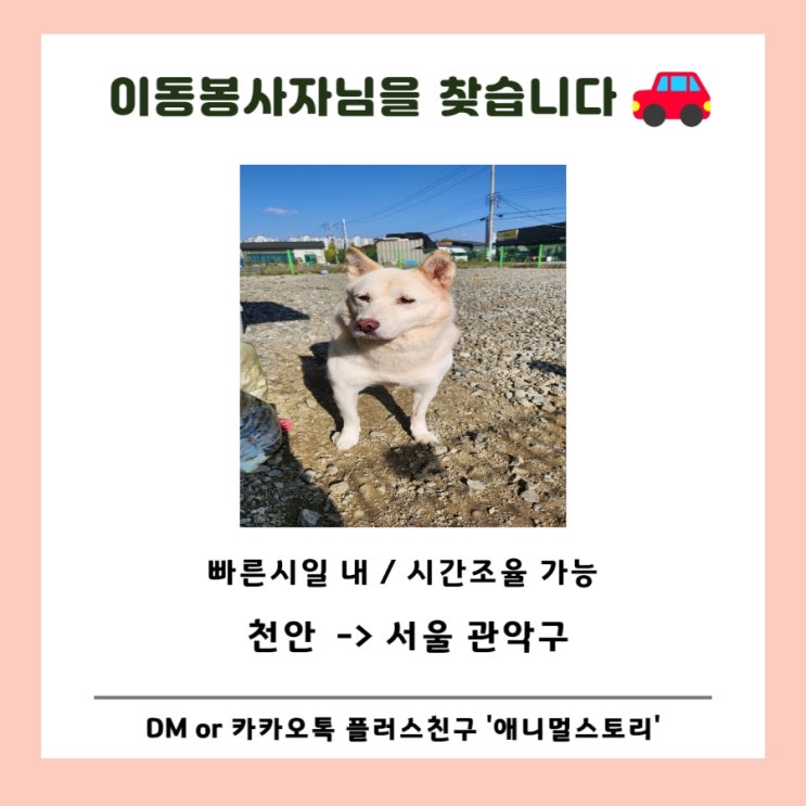 완료 천안 낙성대 네이버 블로그