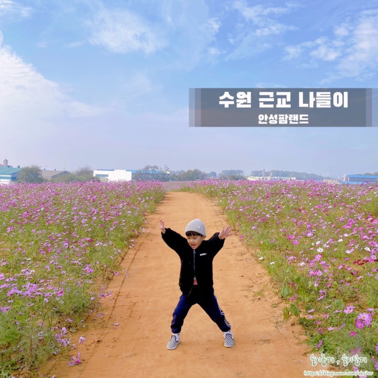 수원 근교 나들이하기 좋은 곳, 안성팜랜드 👨‍🌾 : 네이버 블로그