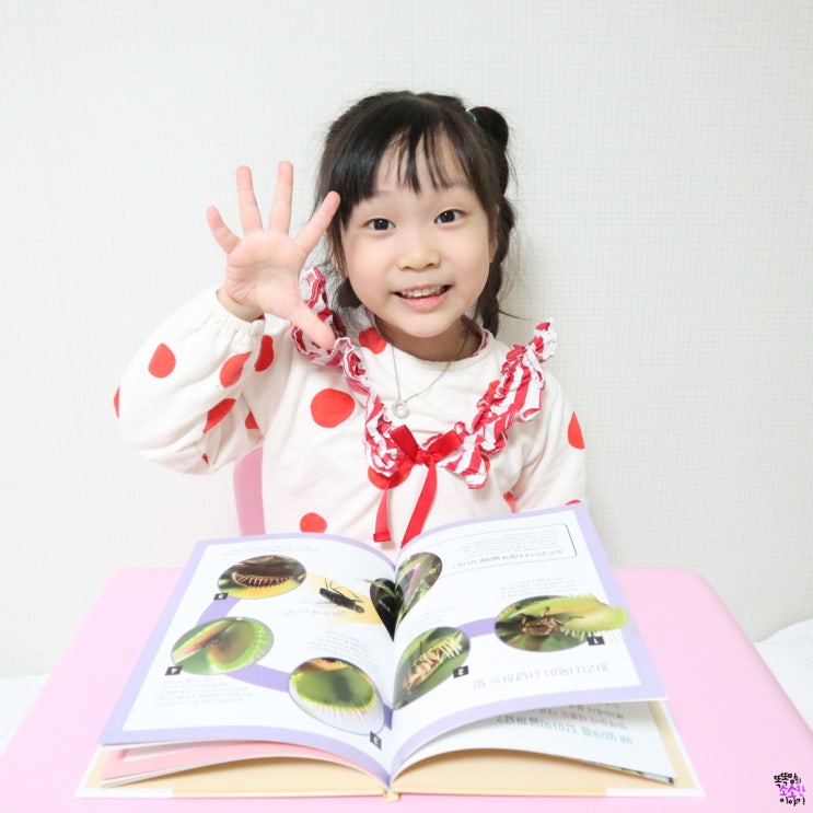 블루래빗 내셔널지오그래픽 키즈 디스커버리 후기 네이버 블로그