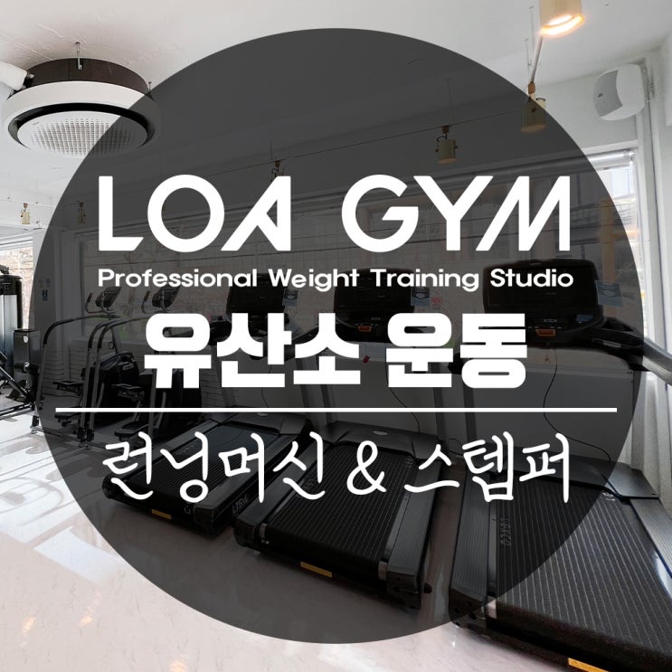 종암동pt 로아짐 유산소운동 2가지 런닝머신과 스텝퍼 효율적으로 운동하는법 네이버 블로그