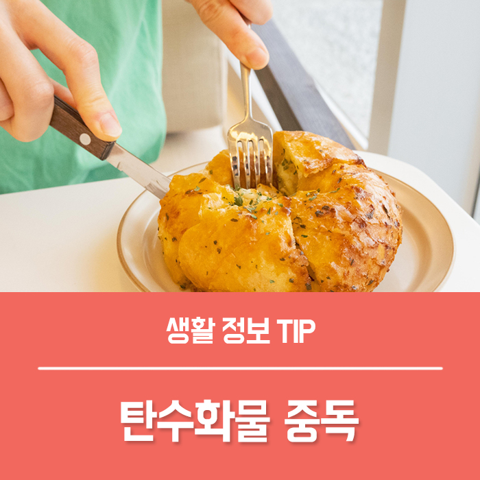 탄수화물 중독 하루 탄수화물 섭취량 밀가루 끊기 괜찮을까요 네이버 블로그