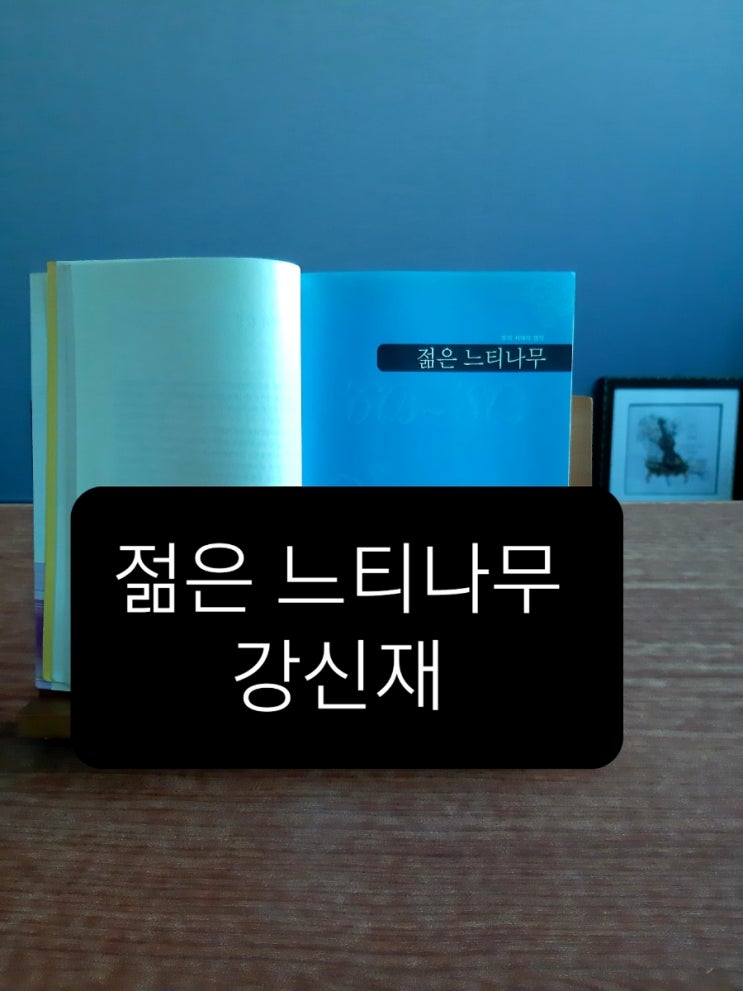 강신재젊은 느티나무 줄거리요약핵심정리기출문제 네이버 블로그