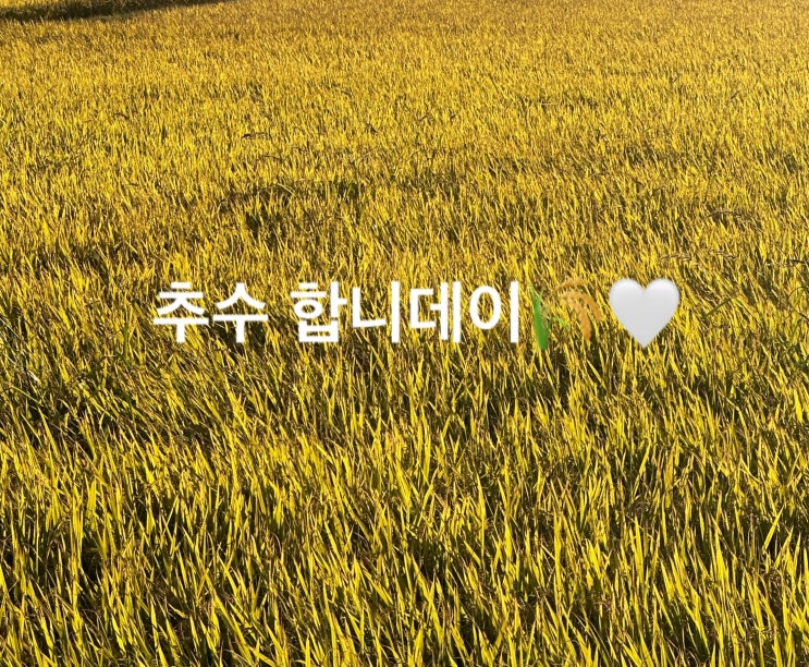 올해 추수 대구떡집 대구동구떡집 대구이사떡 대구백일떡 대구돌떡 대구돌답례떡 대구백일답례떡 친구떡집 대구돌상차림 대구백일상차림